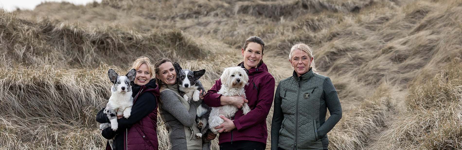 All products – DogCoach International